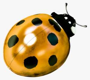Ladybug Films - Ladybug With No Legs PNG Image | Transparent PNG Free ...