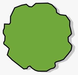 Tree Top View Png - Tree Png Top Free PNG Image | Transparent PNG Free ...