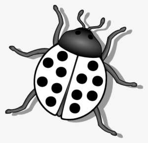 Free Ladybug Clipart - Lady Bug Black And White Clip Art PNG Image ...