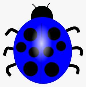 Dark Blue Ladybug Clip Art At Clker - Blue Bug Clip Art PNG Image ...
