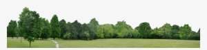 Tree Line Backgrounds PNG Image | Transparent PNG Free Download on SeekPNG