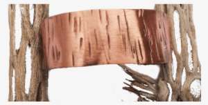 Tree Bark Top View Transparent3 - Driftwood PNG Image | Transparent PNG ...