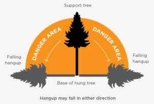 [image] Infographic Showing Support Tree And Danger - Felling Tree Safe ...