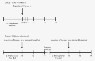 Representation Of The Timeline Of The Intervention - Timeline PNG Image ...