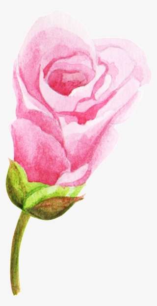 Flower Png Transparent - Hybrid Tea Rose PNG Image | Transparent PNG ...