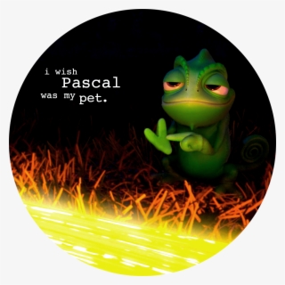 Tangled Tangled Confessions Pascal Tangled Pascal Pet - Tangled Healing ...