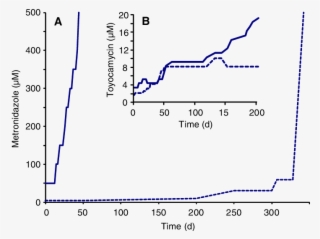 In Vitro Development Of Metronidazole And Toyocamycin - Trichomonas ...