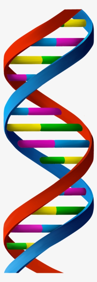 Transparent Dna Vertical Jpg Free Stock - Princess Shroob And Elder ...