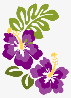 Simple Hawaiian Flower Drawing - Hibiscus Clip Art PNG Image ...