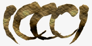 Werewolf Png PNG Image | Transparent PNG Free Download on SeekPNG