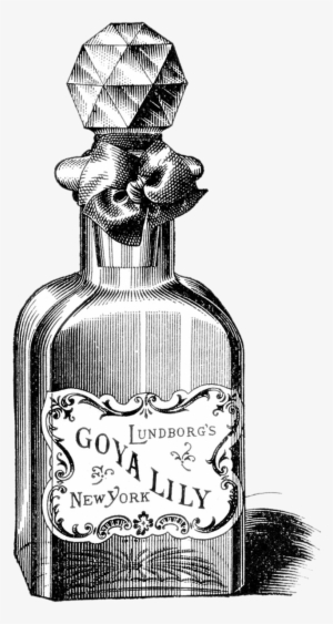Drawing Of Bottle Labeled Poison - Easy To Draw Poison Bottle PNG Image ...