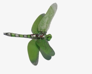 Dragonfly Clipart Transparent PNG Image | Transparent PNG Free Download ...