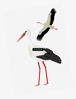 Stork - White Stork PNG Image | Transparent PNG Free Download on SeekPNG