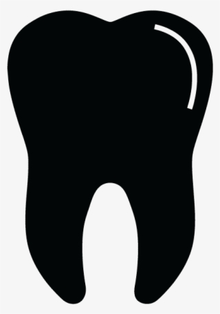 Tooth - Human Tooth PNG Image | Transparent PNG Free Download on SeekPNG