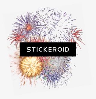 Fireworks Finale - Walynn The Wishing Worm PNG Image | Transparent PNG ...