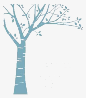 Ficus Nitida Multi-trunk - Plan View Of A Tree PNG Image | Transparent ...