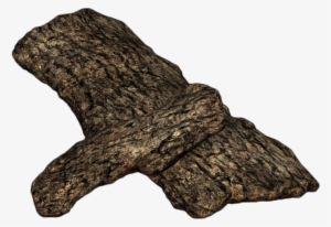 Bark Clipart Tree Bark Texture - Tree Bark Clip Art PNG Image ...