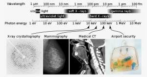 File - X-ray Applications - Svg - Hard X Ray PNG Image | Transparent ...