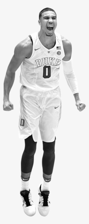 Vector Illustration Of Nba Rookie Jayson Tatum Of The - Jayson Tatum ...