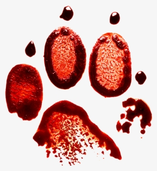 Qzhvub2342 - Wolf Pack Transparent Background PNG Image | Transparent ...