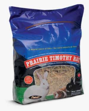 Prairie Timothy Hay - Domestic Rabbit PNG Image | Transparent PNG Free ...