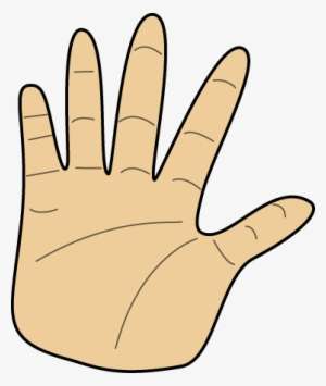 Back Of Hand Clipart