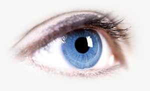 Download Png - Eye PNG Image | Transparent PNG Free Download on SeekPNG