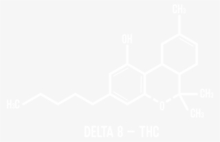 Oregrown Delta-8 - Hyatt White Logo Png PNG Image | Transparent PNG ...