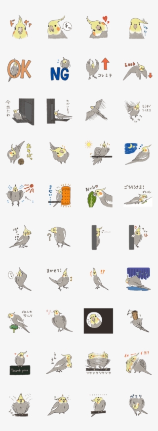 Cockatiel Kinu PNG Image | Transparent PNG Free Download on SeekPNG