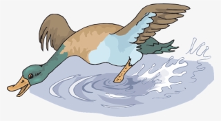 Running Ducks - Duck PNG Image | Transparent PNG Free Download on SeekPNG