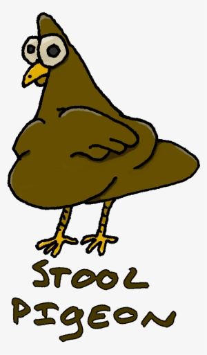Logo - Pigeon Logo Png PNG Image | Transparent PNG Free Download on SeekPNG