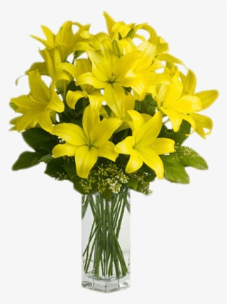 Yellow Lily Flower Online - Lily Sunshine - Deluxe - Lilies PNG Image ...