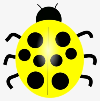 Small - Lady Bug Cartoon Yellow PNG Image | Transparent PNG Free ...