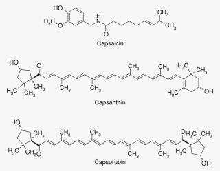 Open - Capsanthin Molecule PNG Image | Transparent PNG Free Download on ...