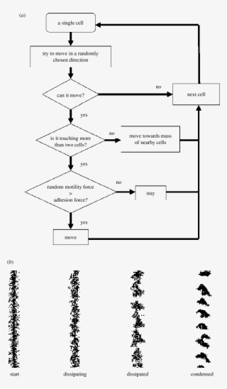 General Outline Of Computer Simulation Algorithm, And - Diagram PNG ...