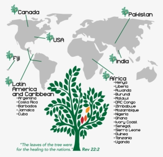 Tree - “ - World Map PNG Image | Transparent PNG Free Download on SeekPNG