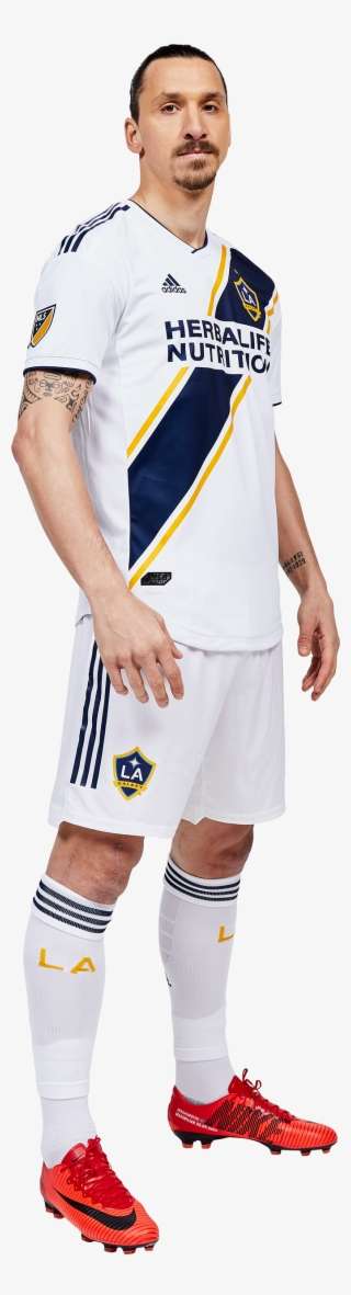 Zlatan Ibrahimovic Render - Aj Delagarza PNG Image | Transparent PNG ...