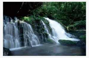 20180707 - Moving Pictures Of Nature PNG Image | Transparent PNG Free ...