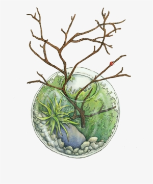 Terraium And Two Spot Illustrations - Terrarium Transparent ...