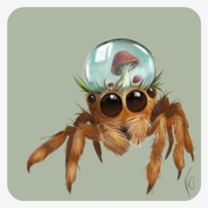 Spider PNG Images | PNG Cliparts Free Download on SeekPNG