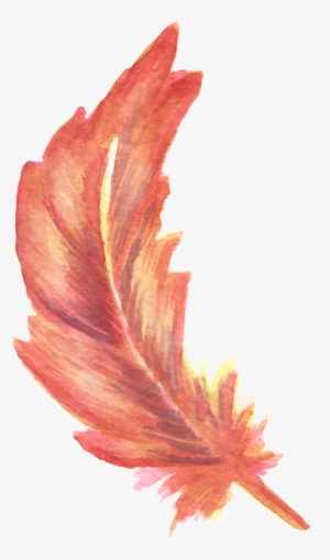 Watercolor Painting Red Transprent - Feather In Red Watercolor PNG ...