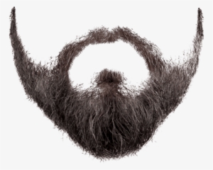 Photo Editor, Adobe Photoshop, Beard Images, Picsart - Beard Png PNG ...