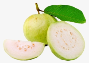 Pera Fruit In English PNG Image | Transparent PNG Free Download on SeekPNG