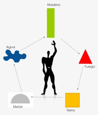 Modulor - Le Corbusier Modulor Png PNG Image | Transparent PNG Free ...