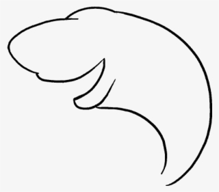 Drawing Shark Graphic Stock - Line Art PNG Image | Transparent PNG Free ...