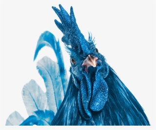 Blue Hen - Delaware PNG Image | Transparent PNG Free Download on SeekPNG