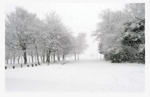 Falling Snow Png Hd - King Of Kings - (import Cd) PNG Image ...
