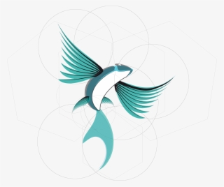 Flyingfish Logo - - Flying Fish PNG Image | Transparent PNG Free ...