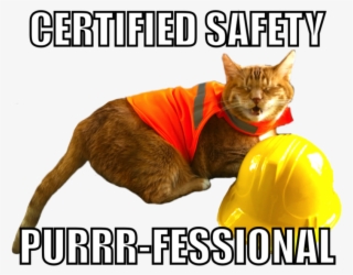Funny Worker Safety Images Pictures Posts Ehs Safety - Animal Meme ...