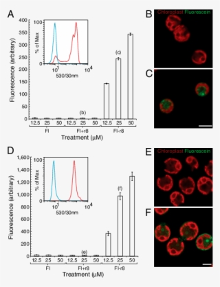 Flow Cytometry And Fluorescence Microscopy Of Cell - Flow Cytometry PNG ...